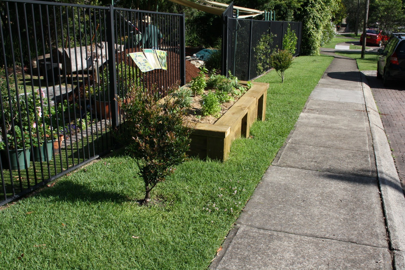 Mosman Community Gardeners: Verge Gardens