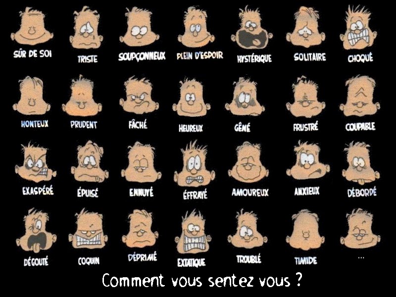 LE FLE À L' ALFRED AYZA: L'expression des sentiments