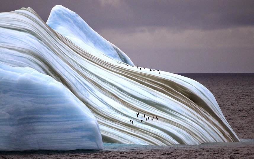 TYWKIWDBI ("Tai-Wiki-Widbee"): Icebergs