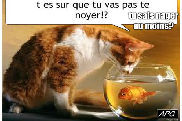 Comment ça se dit en français?: noyer le poisson