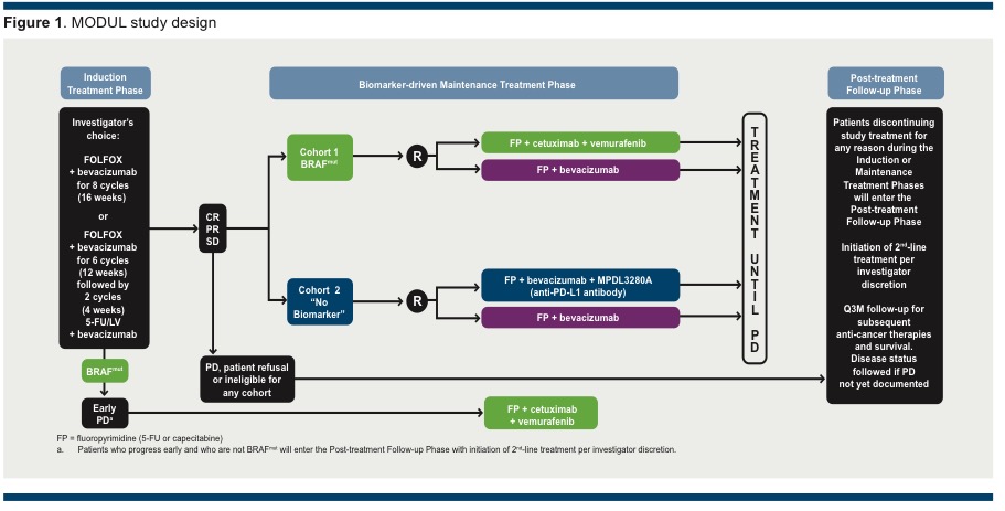 Atezolizumab + cobimetinib in locally advanced or metastatic CRC (Phase ...