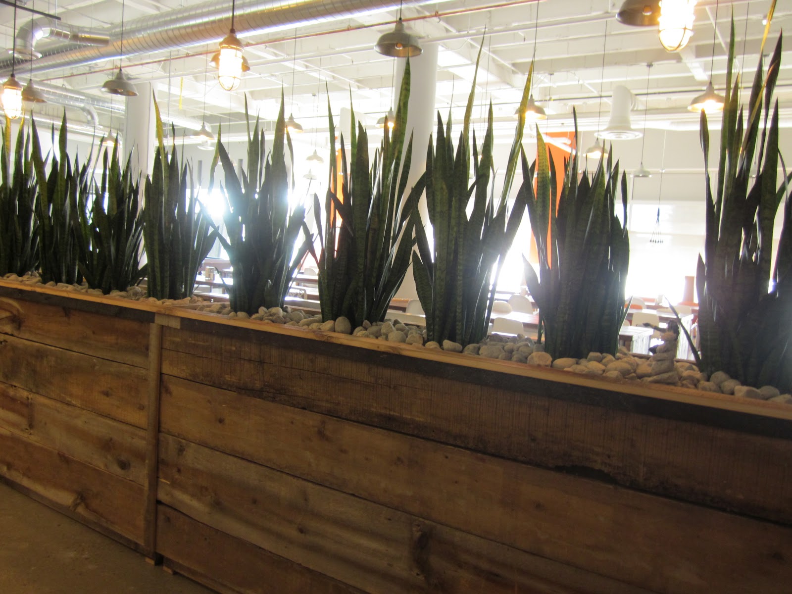 DIG London: EXTREME SPACE: The Relocation & Style of Digital Extremes Ltd.