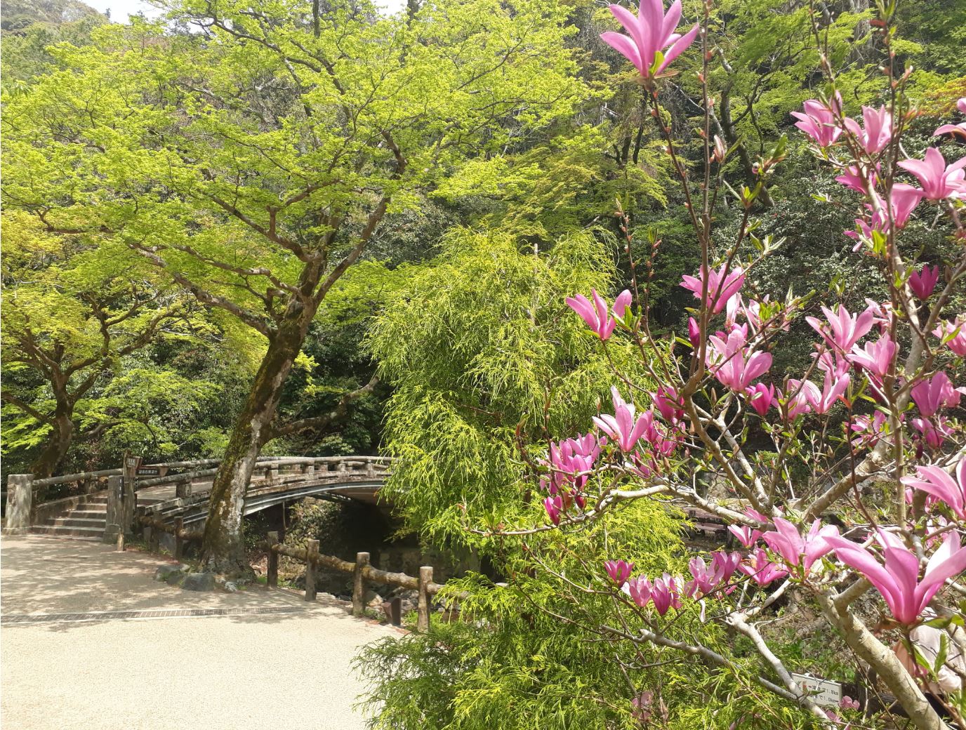 8 Reasons why you should visit Minoo Park