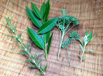 Yerba Buena Herbal Consulting: The Barrida