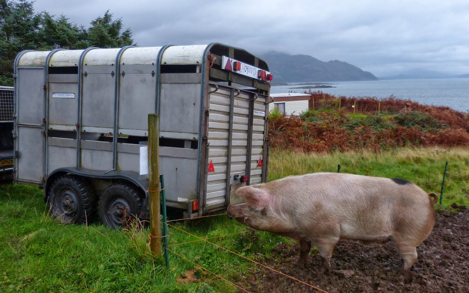 A Kilchoan Diary: Goodbye My Love