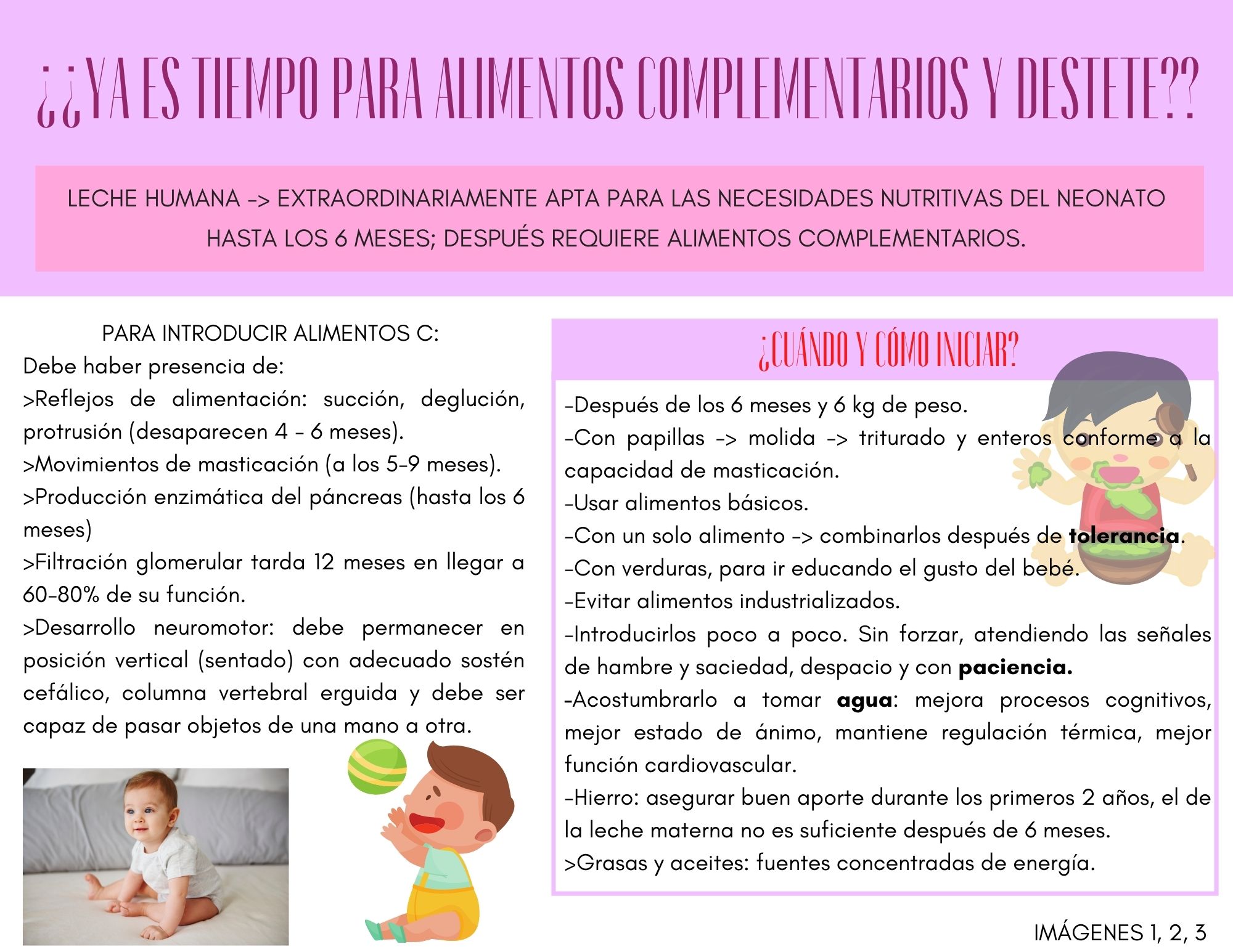 ¿Es tiempo para dar alimentos complementarios y destetarlo?
