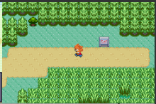 Sonicmon Advance (GBA)