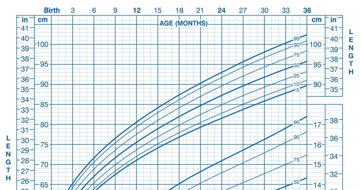 Boy Growth Chart ~ Certificate Letter