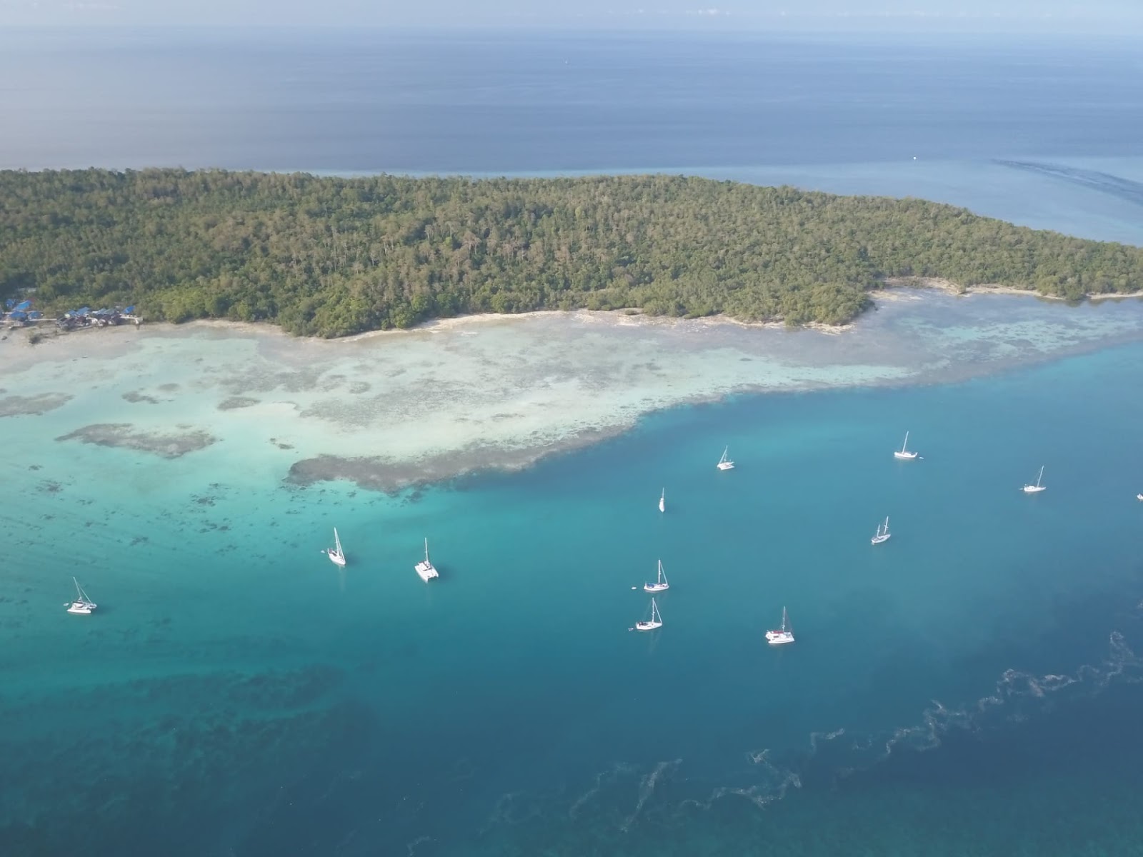 Maratua Atoll, Indonesia: A Wedding, Jellies, and First Days of School