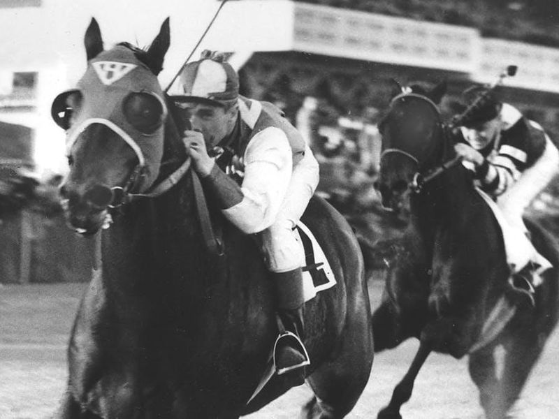 THE WESTERNER: Scientists Extract DNA From Seabiscuit’s Hooves To ...