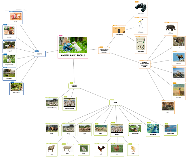 SCIENCE 3º: UNIT 6: CONCEPT MAP