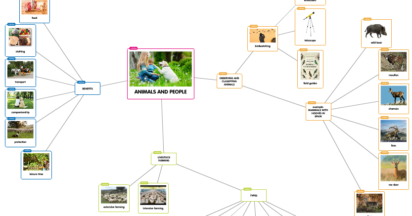 SCIENCE 3º: UNIT 6: CONCEPT MAP