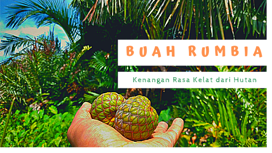 Merindukan Kelatnya Buah Rumbia dari Hutan ~ Catatan Pencerahan