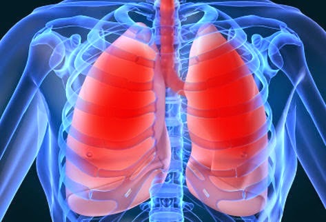 Abre Los Ojos: CÓMO LIMPIAR LOS PULMONES EN 3 DÍAS e INTESTINOS