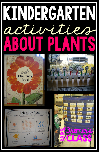 Kinder-garden- Learning About Plants and their Life Cycle | Mrs. Bremer ...