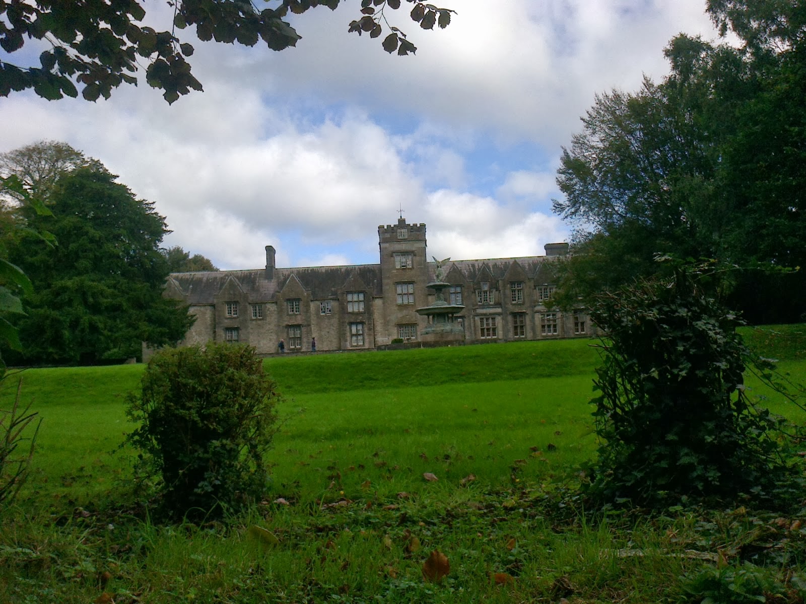 Tai Chi Cork: Mallow Castle a local treasure