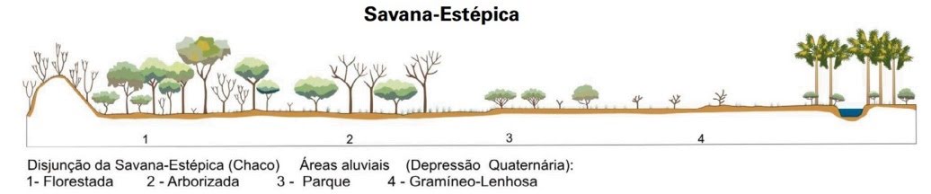 Onde as Plantas Crescem - Chernossolos
