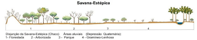 Onde as Plantas Crescem - Chernossolos
