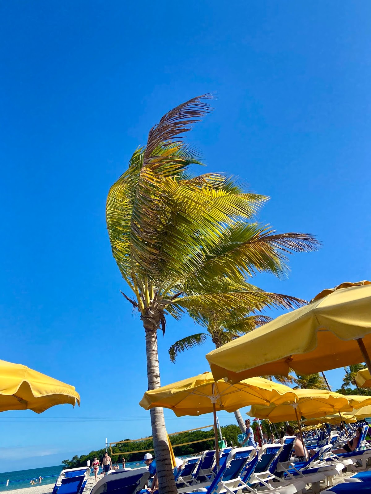 Spring Break on a Cruise during the Corona Virus | Tall and Preppy