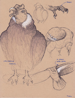 Tyler Chow: Dynamic Sketching - Week 5 - Animals