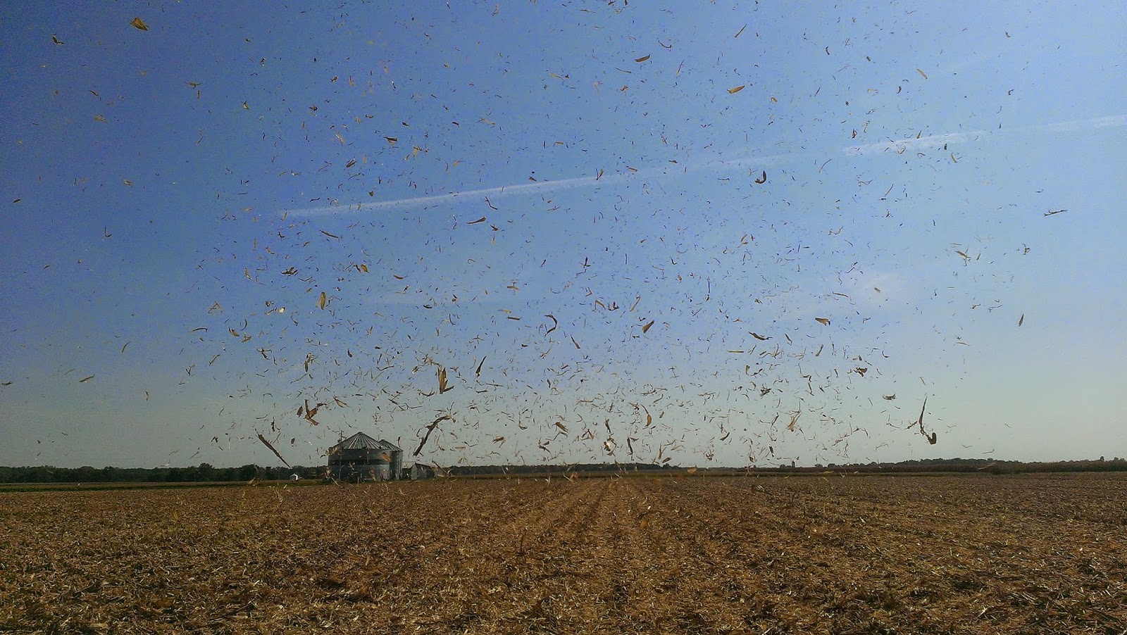 Observations in Agriculture: Corn Leaf Dust Devil