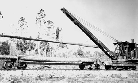 Desolation Florida: The Dixie Mainline and Shired Island