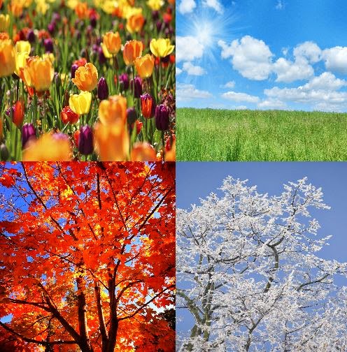 Polimakeup: Armocromia: Le stagioni delle donne...