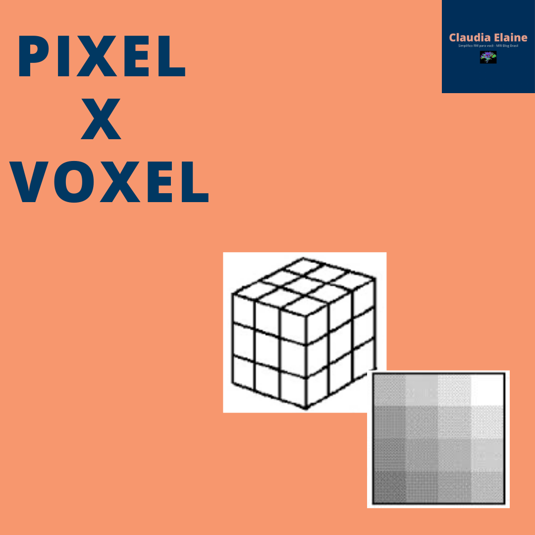 Pixel e Voxel