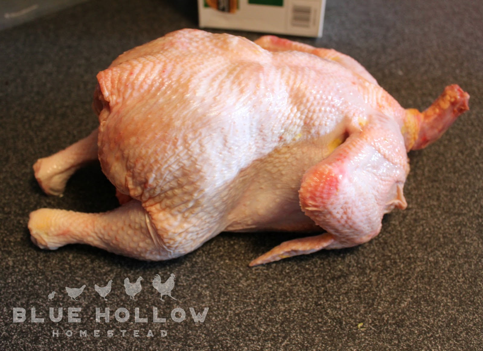 Processing Chicken: Real Life Farm to Table