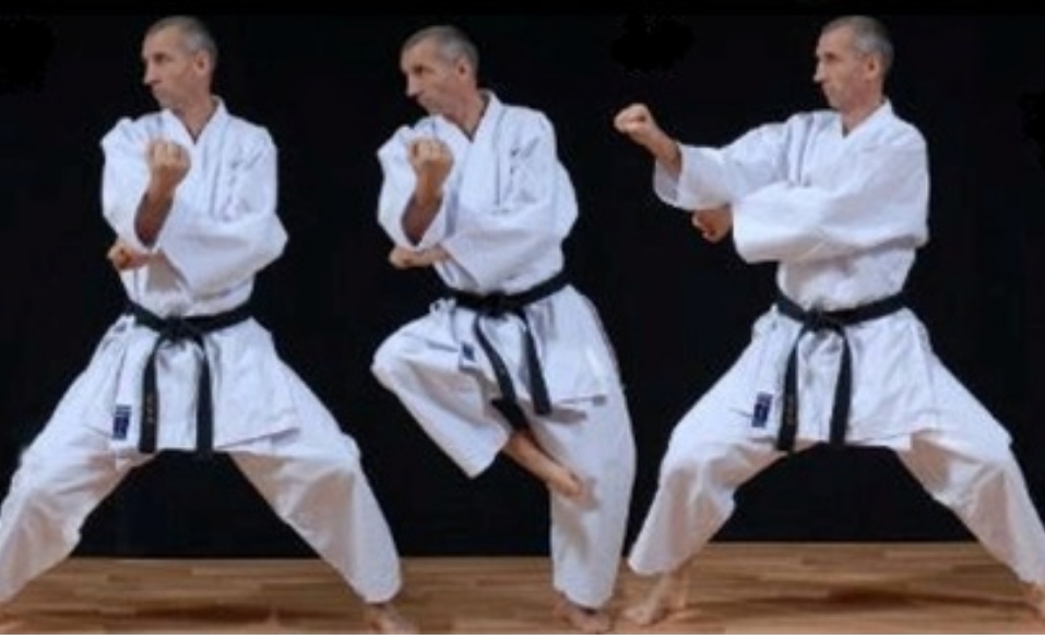 Karate Quick Guide Blogspot | New Delhi: Blocks