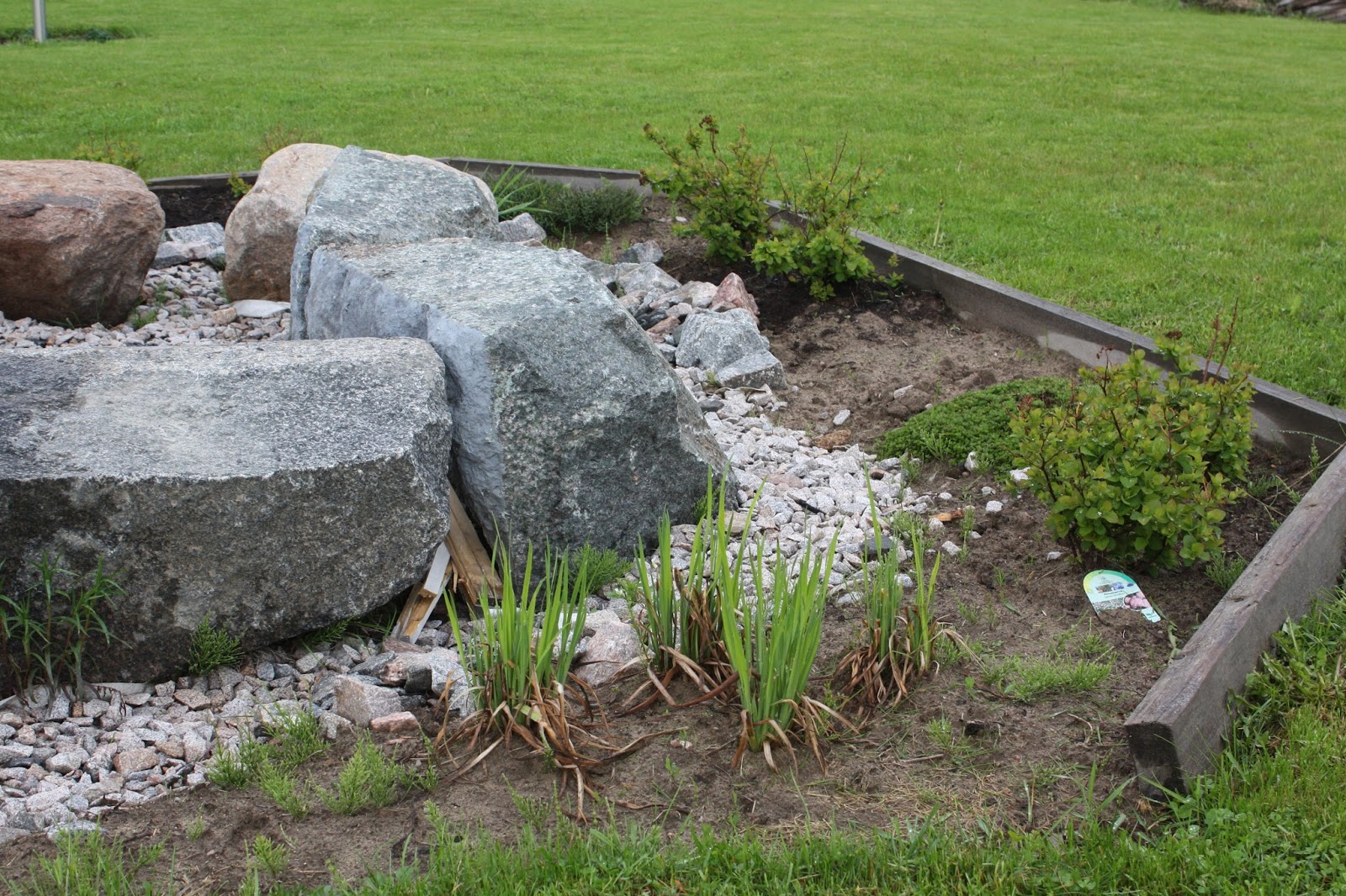 Auringon ja tuulen piha: Peltokortteen paikka pellolla