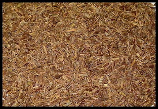 Herbs And Spices: Caraway