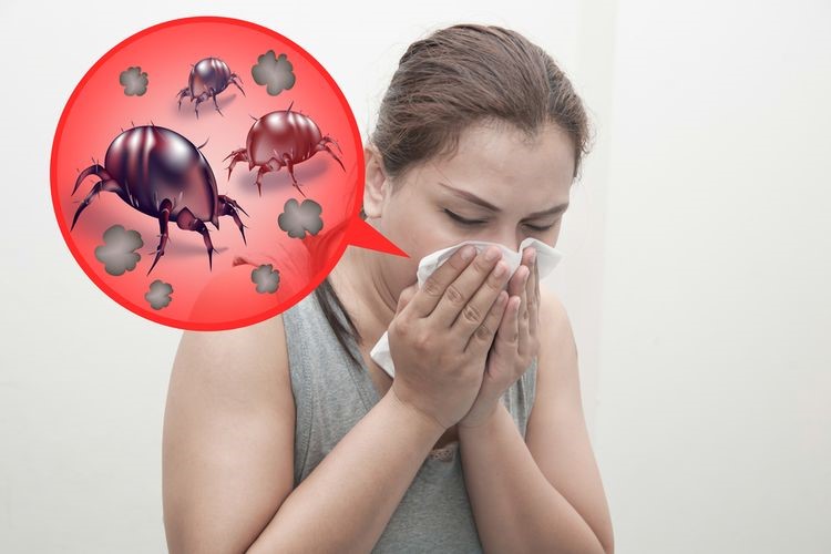 Gigitan Tungau Berdasarkan Jenisnya