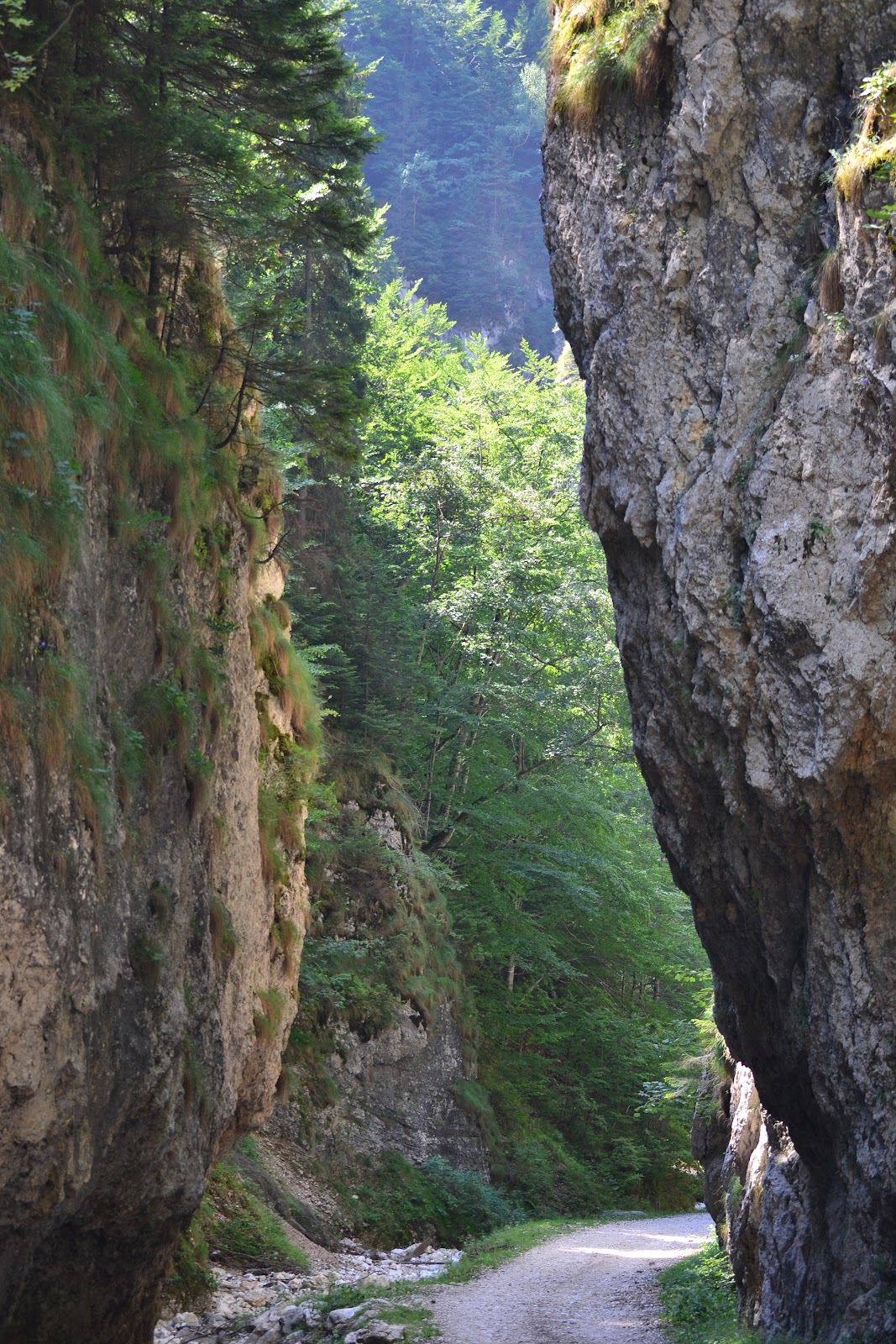 Aer de Romania: Magura - Cheile Zarnesti - Curmatura