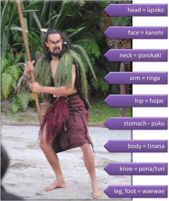 Te Āo Māori: Parts of the body