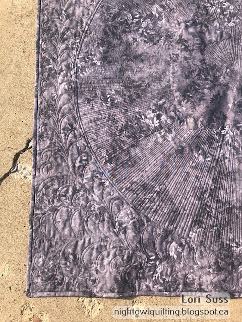 Night Owl Quilting & Dye Works: Hoffman Supernova Seasons