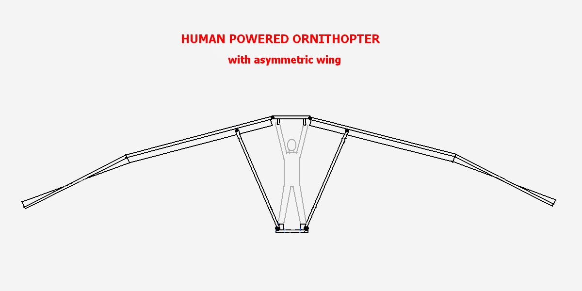 Flapping Wing: HUMAN POWERED ORNITHOPTER