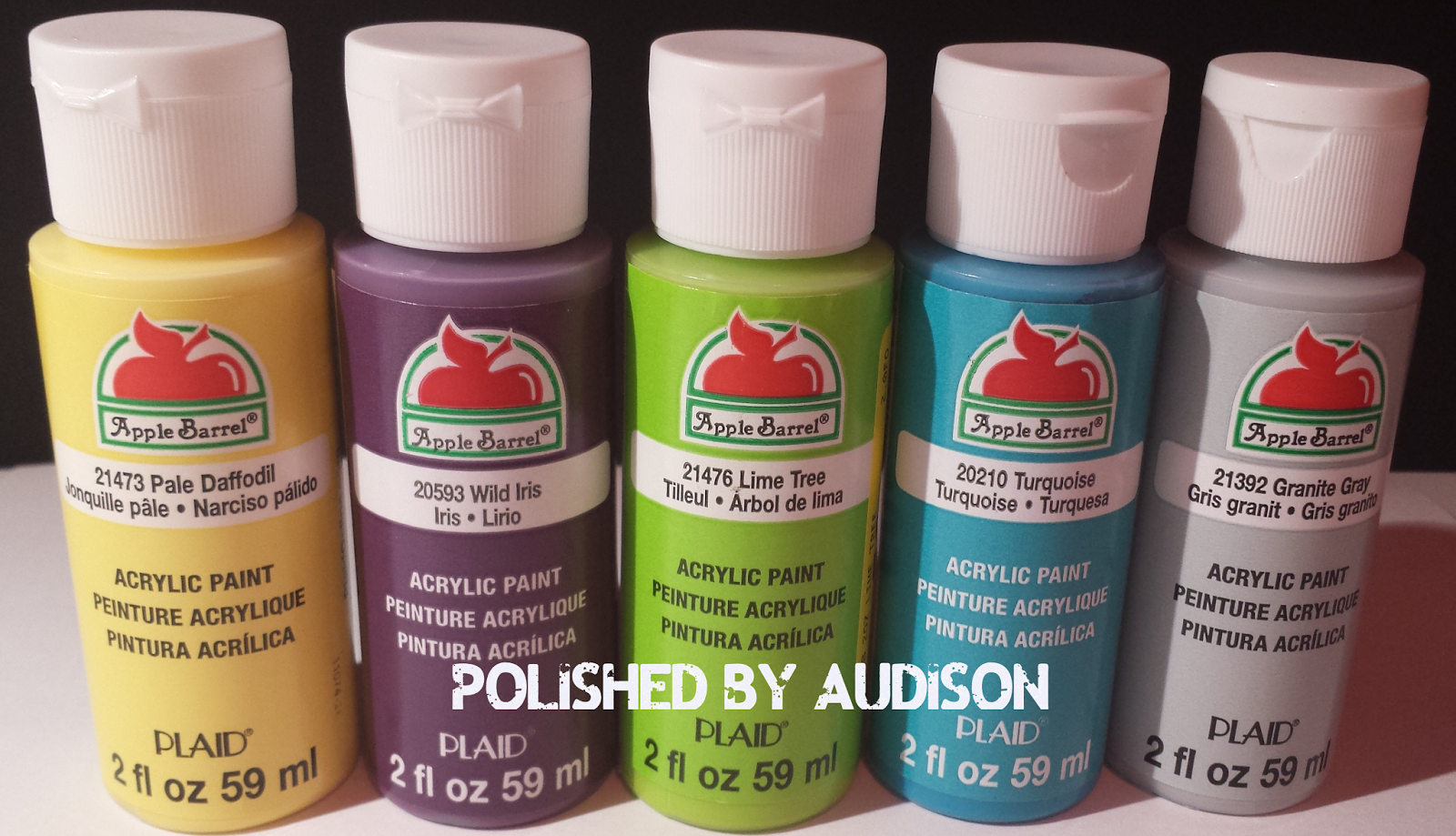 Polished By Audison: Walmart Haul [LA Colors & Acrylic Paint]