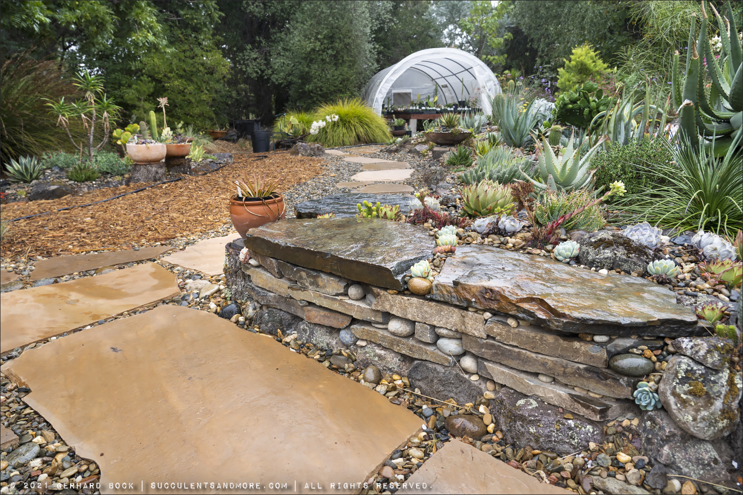 Private garden at Peacock Horticultural Nursery