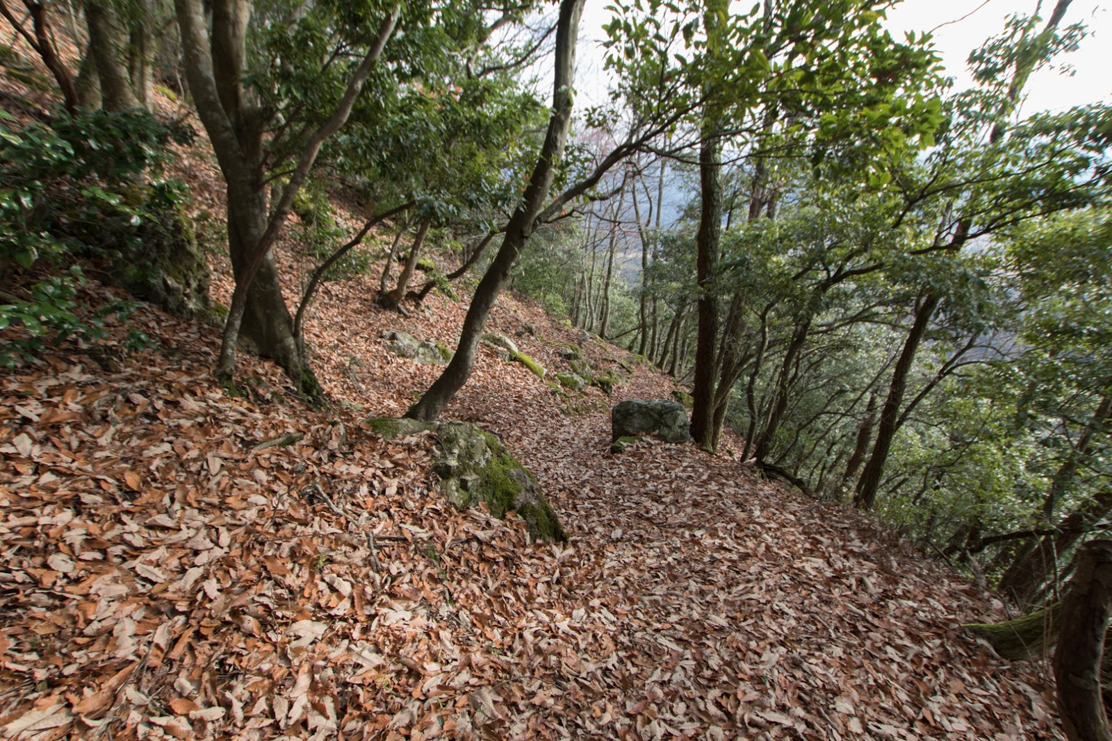 Odani Castle (1) -History of three generation of Azai clan- | Ken's ...