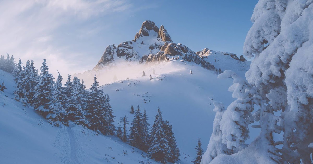 Munții Carpați - Știați că..?.