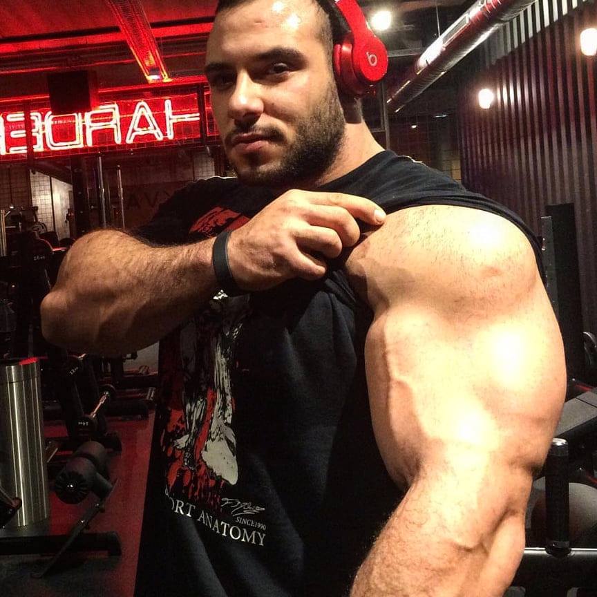 world bodybuilders pictures: french beautiful fitness model and ...