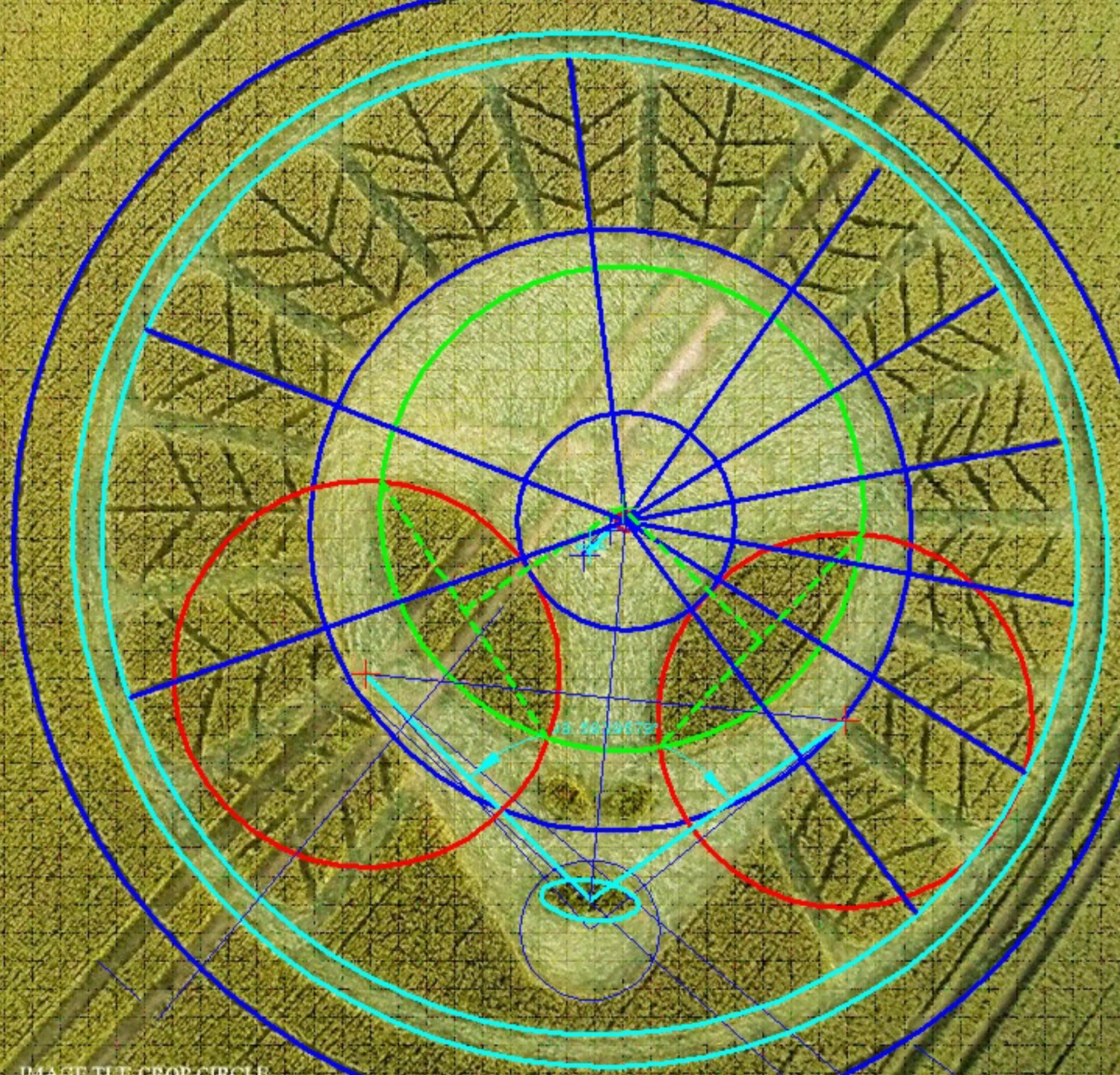Crop Circle Face