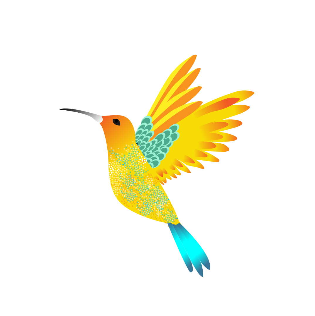 Vectors / Illustrations