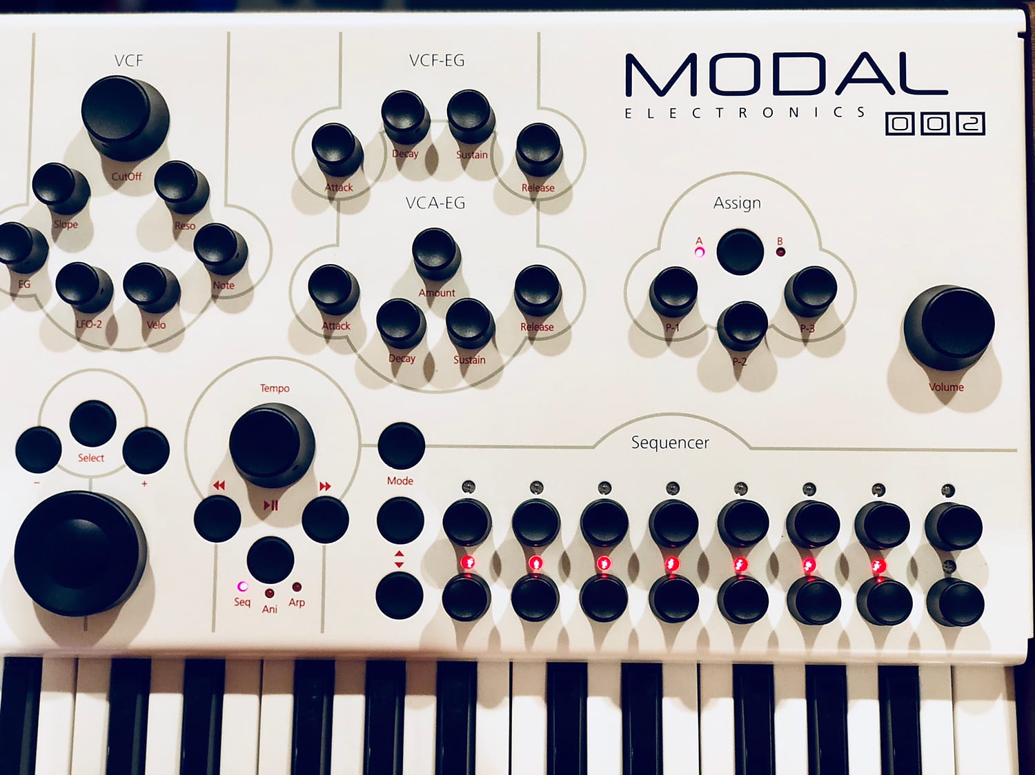 MATRIXSYNTH: Modal Electronics 002 with Original Leather Sides