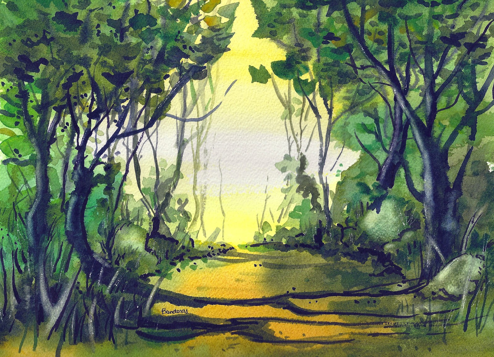 Forest Color Sketch