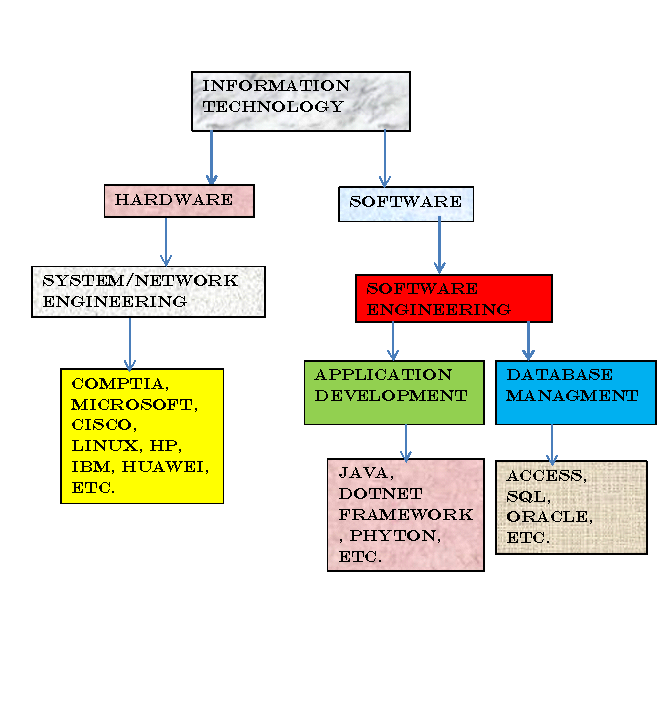 New World: WHY YOU NEED INFORMATION TECHNOLOGY MENTOR