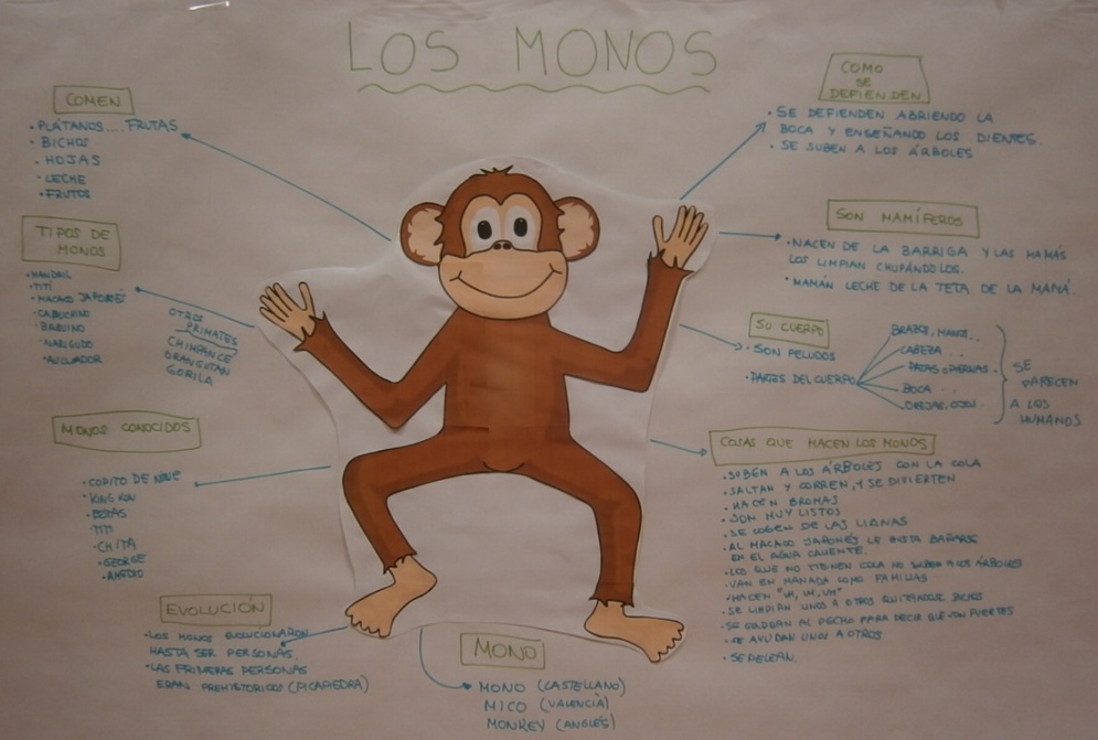 LA CLASE DE MIREN: mis experiencias en el aula: PROYECTO LOS MONOS ...