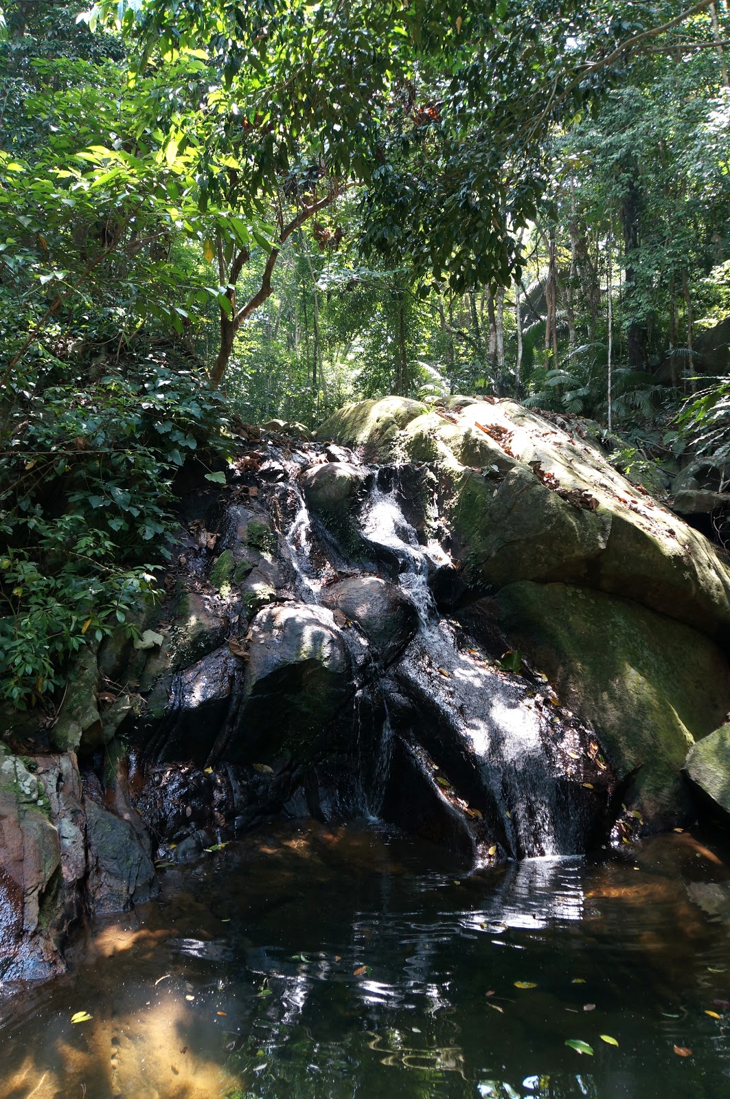 Malaisie - jour 12 : Tioman - Jungle trek vers Juara