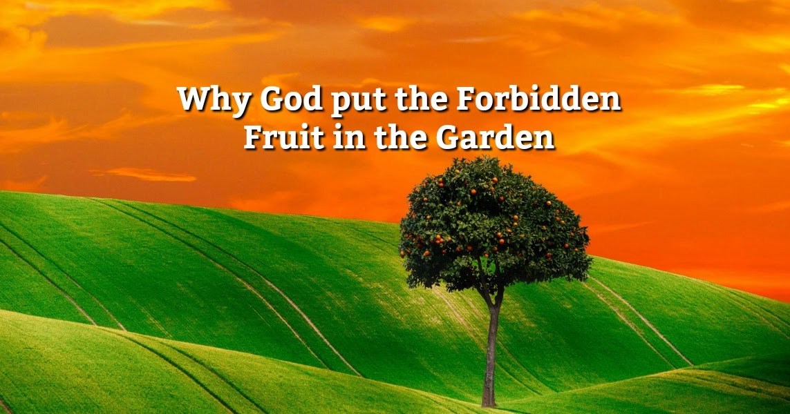 Bible Love Notes: Just One Rule and They Broke It!